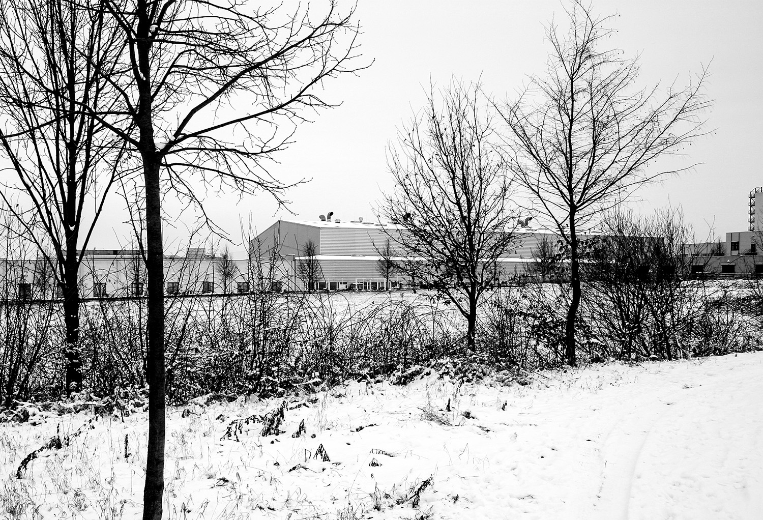 OFFICE BUILDINGS – Bach Arquitectes